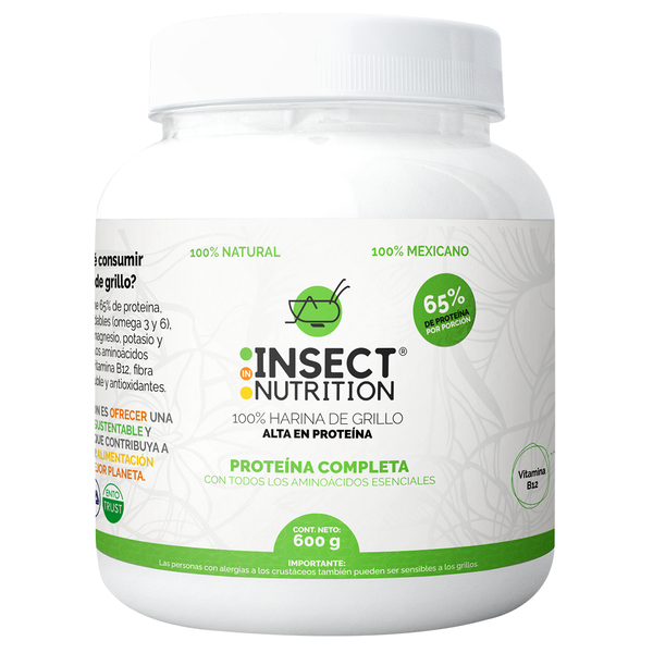 Harina de grillo – IN Insect Nutrition